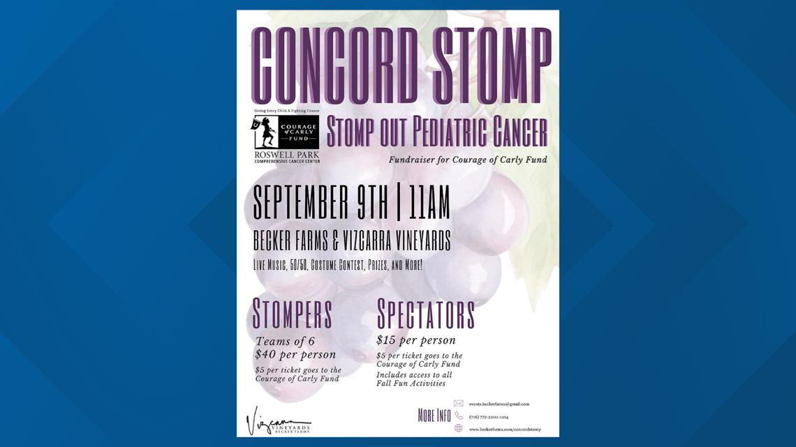Stomp Out Pediatric Cancer | wgrz.com