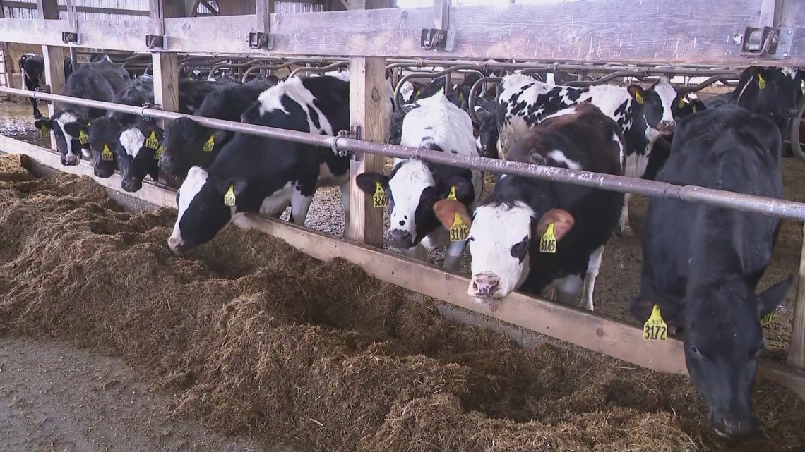 Upstate Niagara Cooperative rebrands to UNC Dairy | wgrz.com