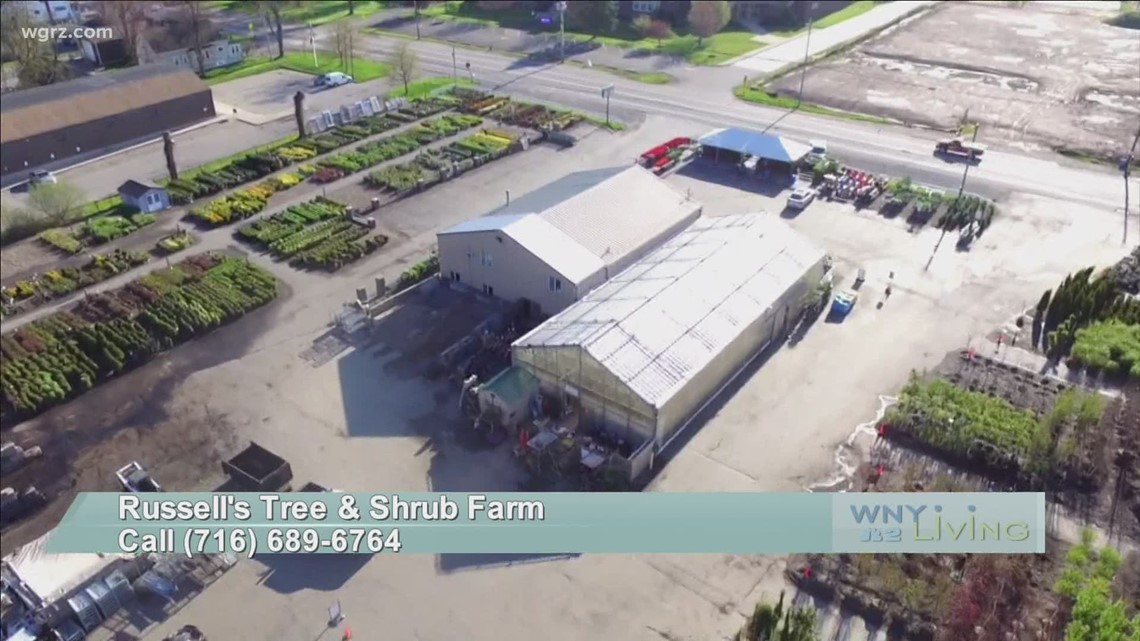 April 10 - Russell's Tree & Shrub Farm | wgrz.com