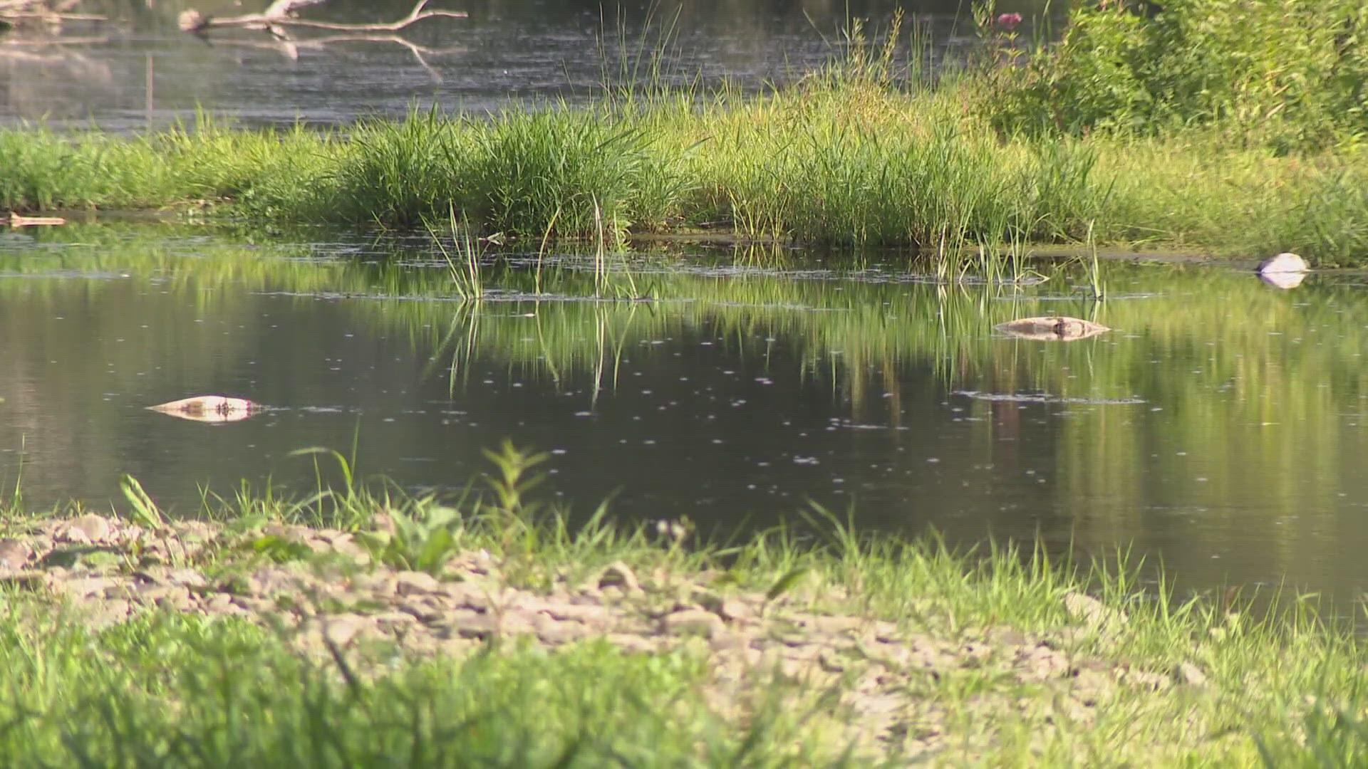 IPO market's red-hot year has been cooled by the shutdown and more caution among investors ...