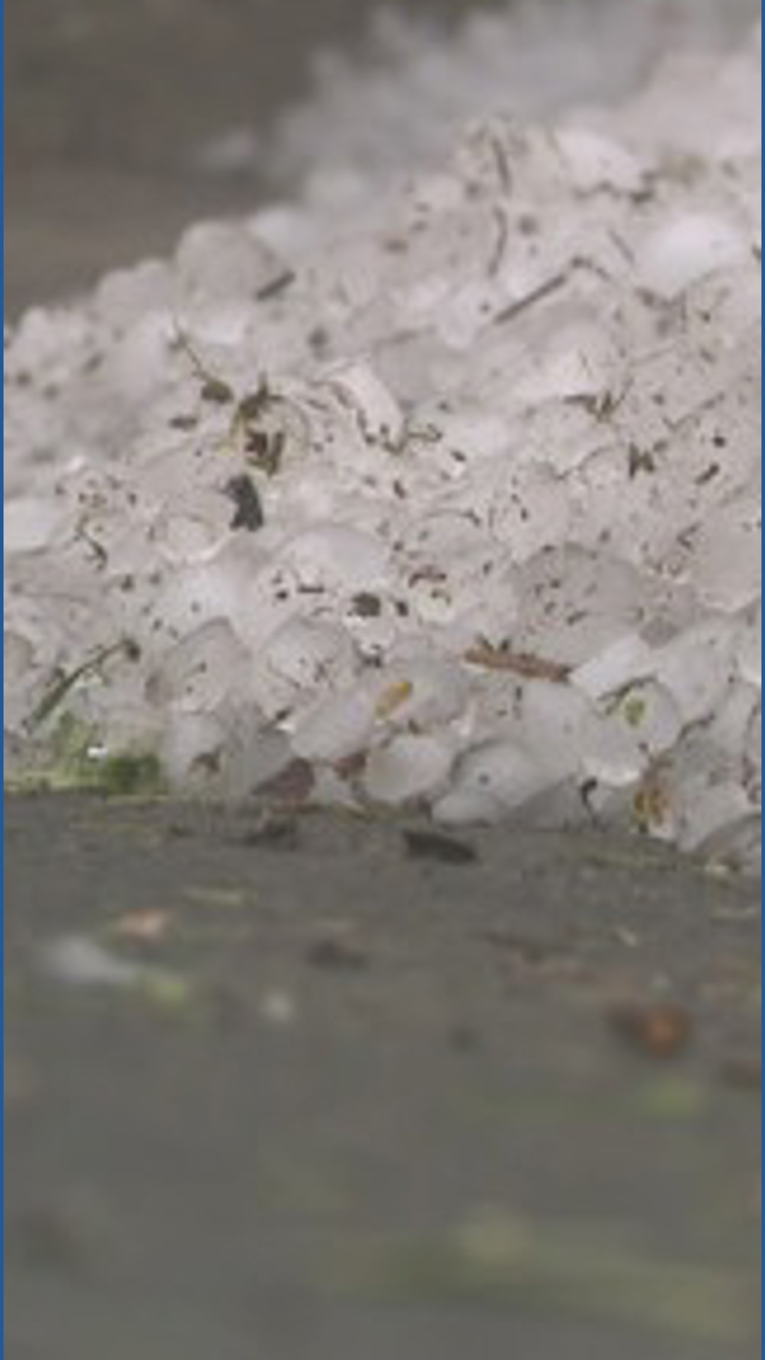 Hail storm wreaks havoc in Gowanda | wgrz.com