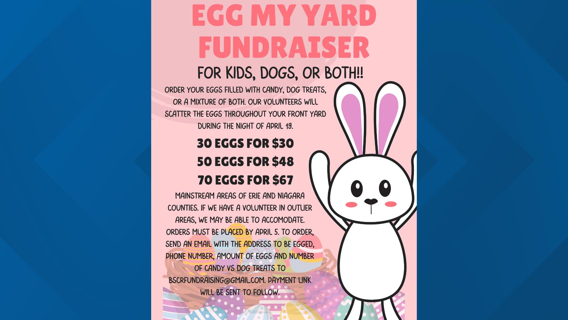 Buddy's Rescue hosts Easter fundraiser in 2025 | wgrz.com