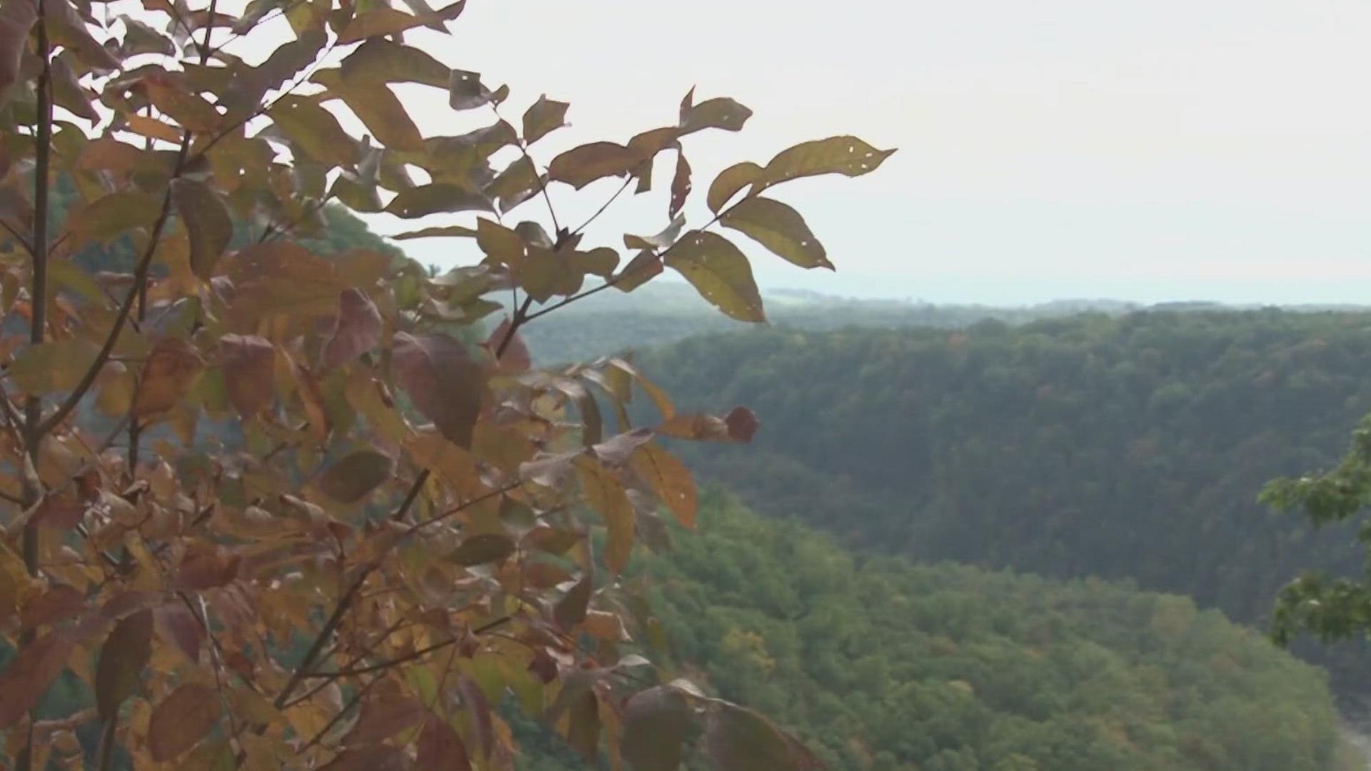 Peak fall foliage attracts thousands to Letchworth Park | wgrz.com