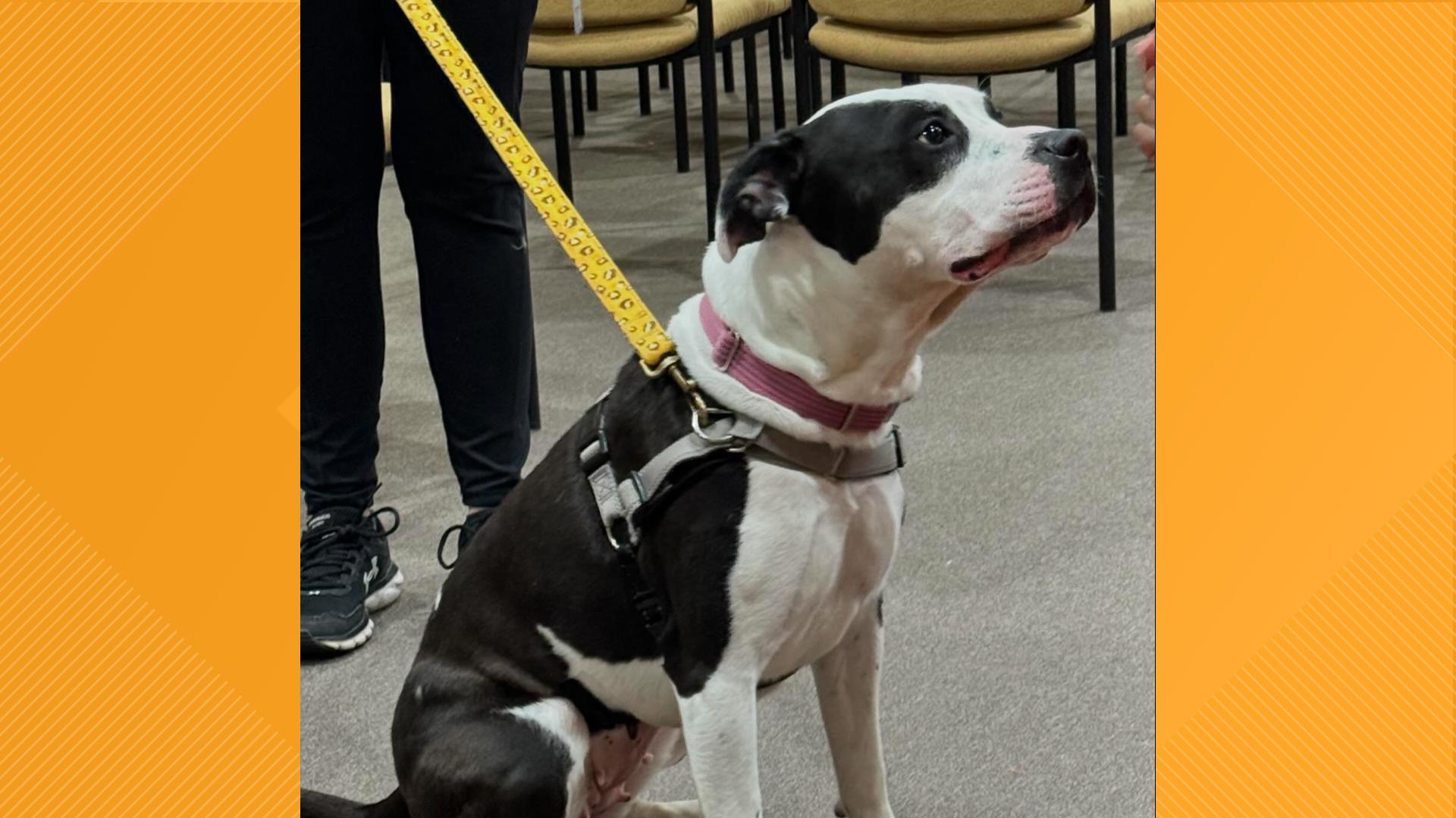 Erie County Sheriff's Office shares their cute graduate | wgrz.com