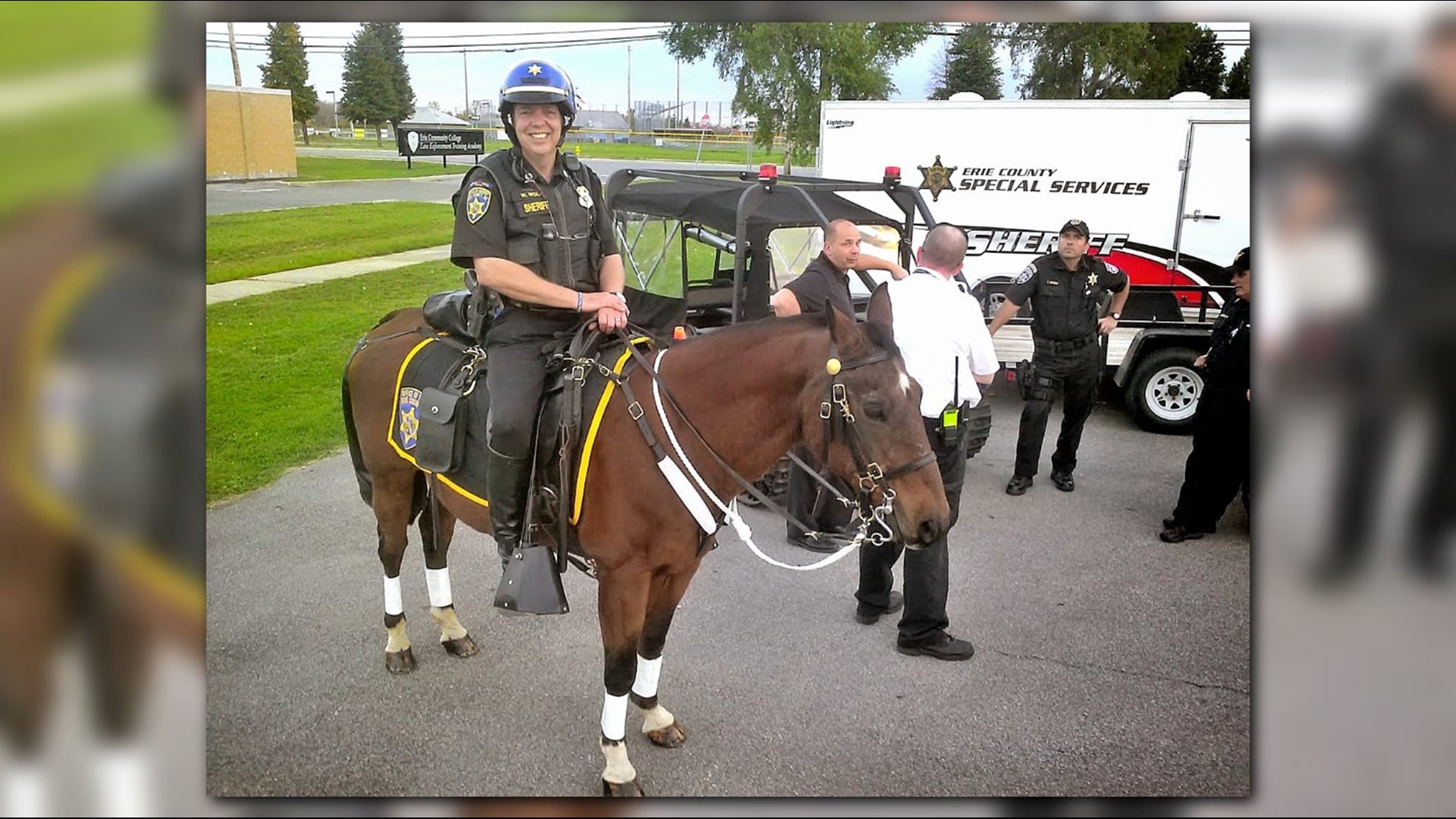 Sheriff announces passing of long-serving horse, Jake | wgrz.com
