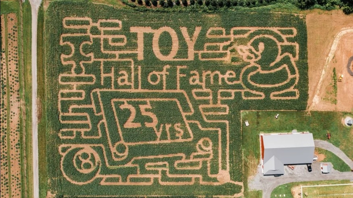 Fans relive Bills history in unique farm corn maze | wgrz.com