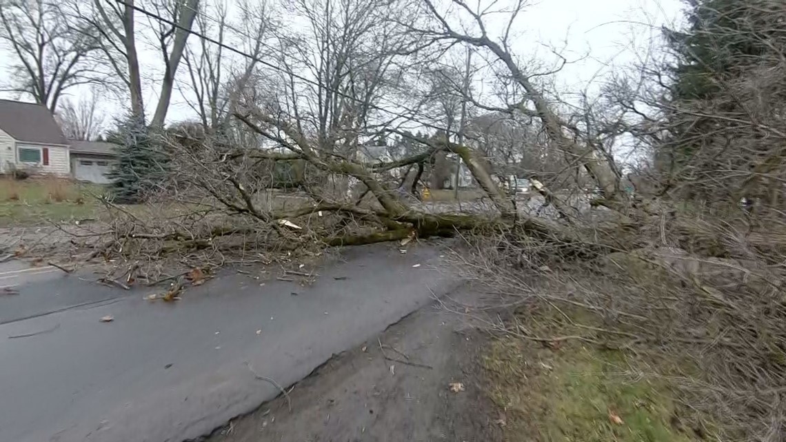 PHOTOS: High winds cause damage across WNY | wgrz.com