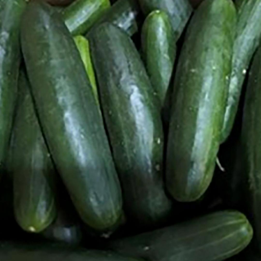Salmonella outbreak: cucumbers recall announced | wgrz.com