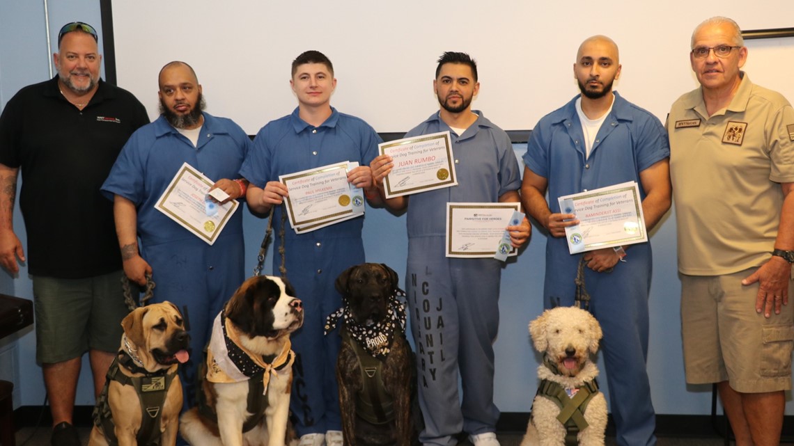 Pawsitive for Heroes | wgrz.com