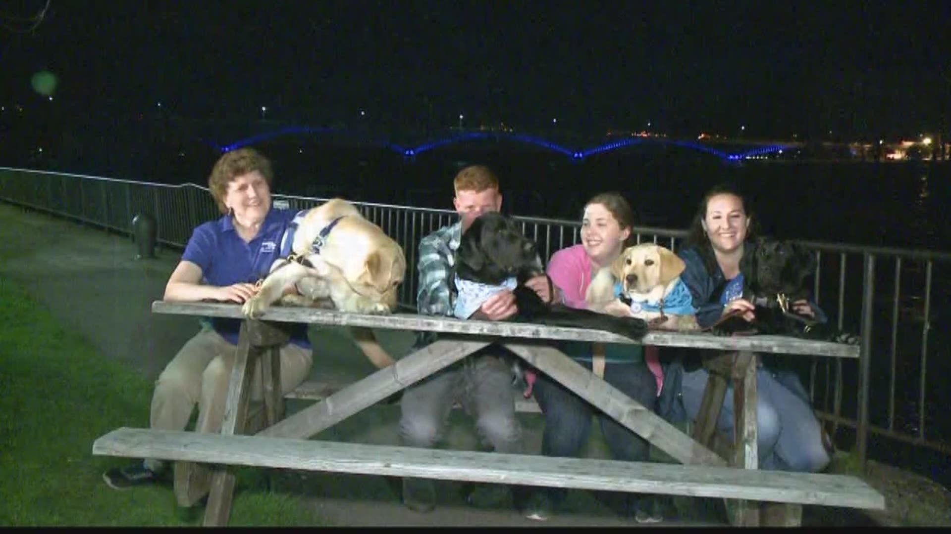 Celebrating Internatonal Guide Dog Day | wgrz.com