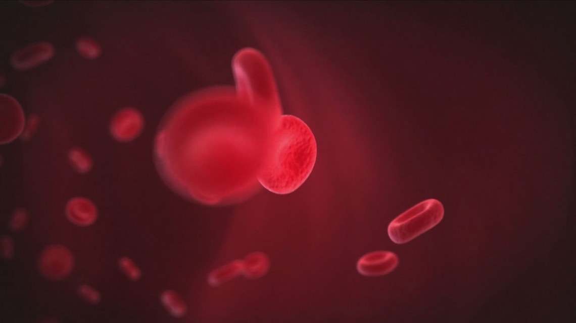 commUNITY spotlight: Sickle Cell Warriors of Buffalo | wgrz.com