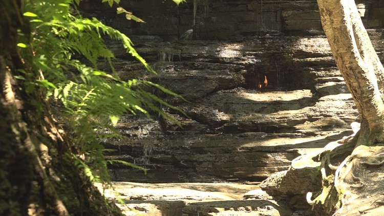 UB unveils stadium upgrades ahead of 2025 season | wgrz.com