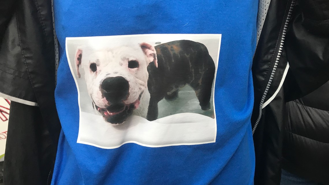 Pitbull involved in biting incident to receive a new evaluation | wgrz.com