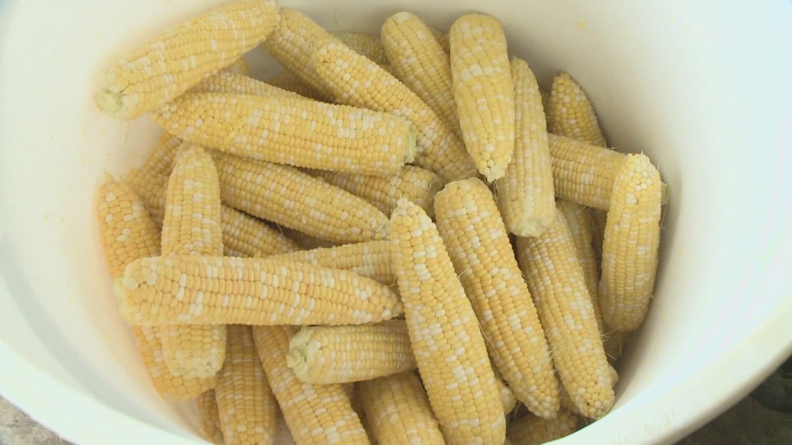 Eden Corn Festival underway now | wgrz.com