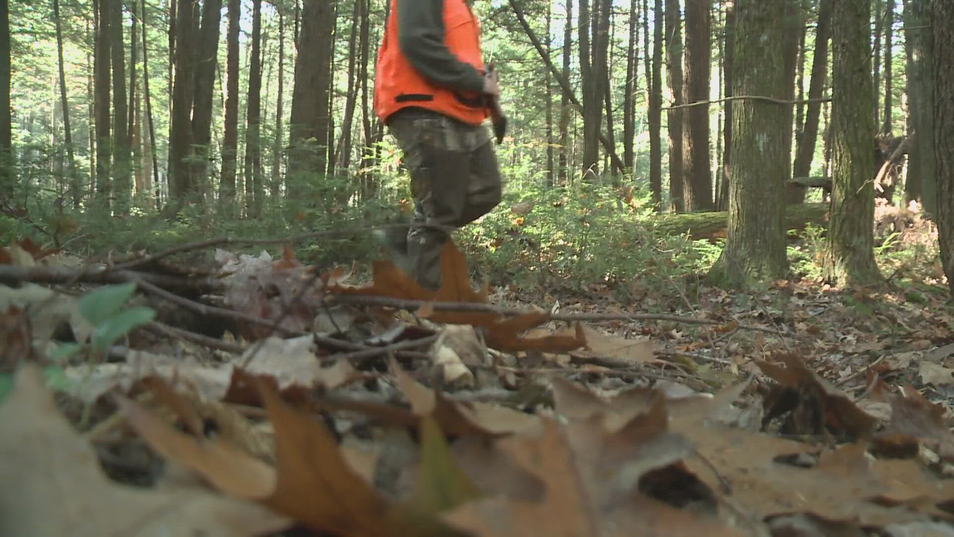 Governor Hochul approves crossbow hunting for big game in NY | wgrz.com