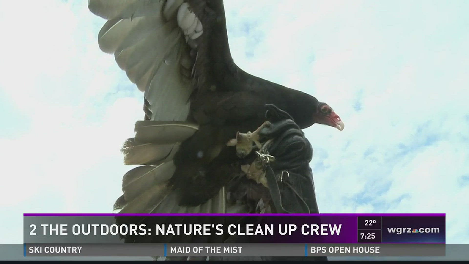 2 The Outdoors: Nature's Clean-Up Crew | wgrz.com