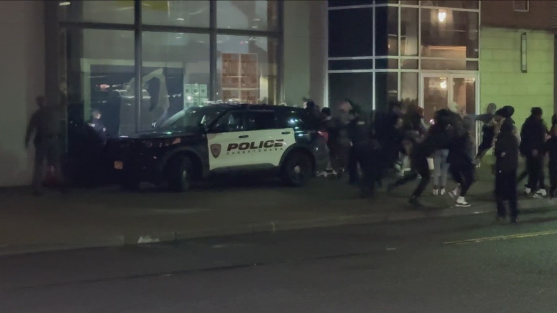 Fight at galleria mall after Christmas | wgrz.com