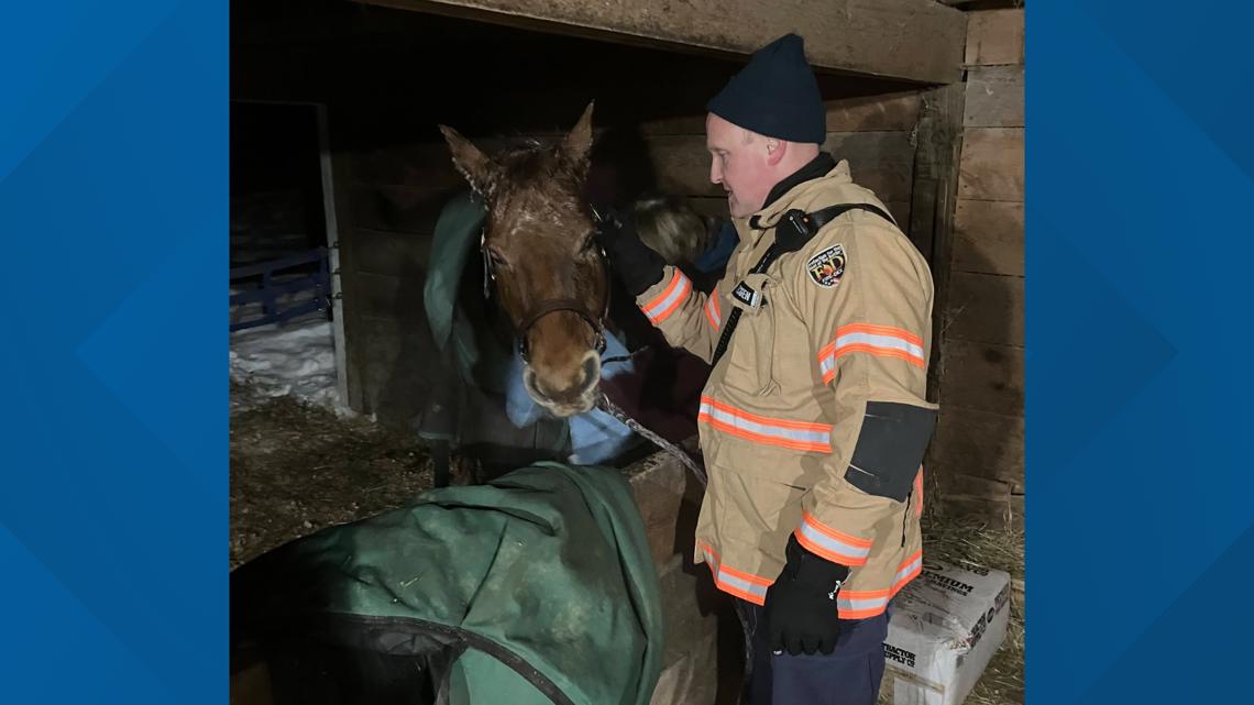 Firefighters rescue 2 horses from icy pond in East Aurora | wgrz.com
