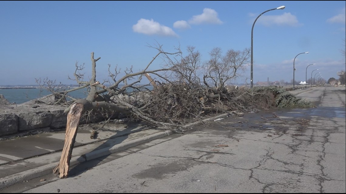 Residents push cleanup effort for Buffalo Erie Basin Marina | wgrz.com