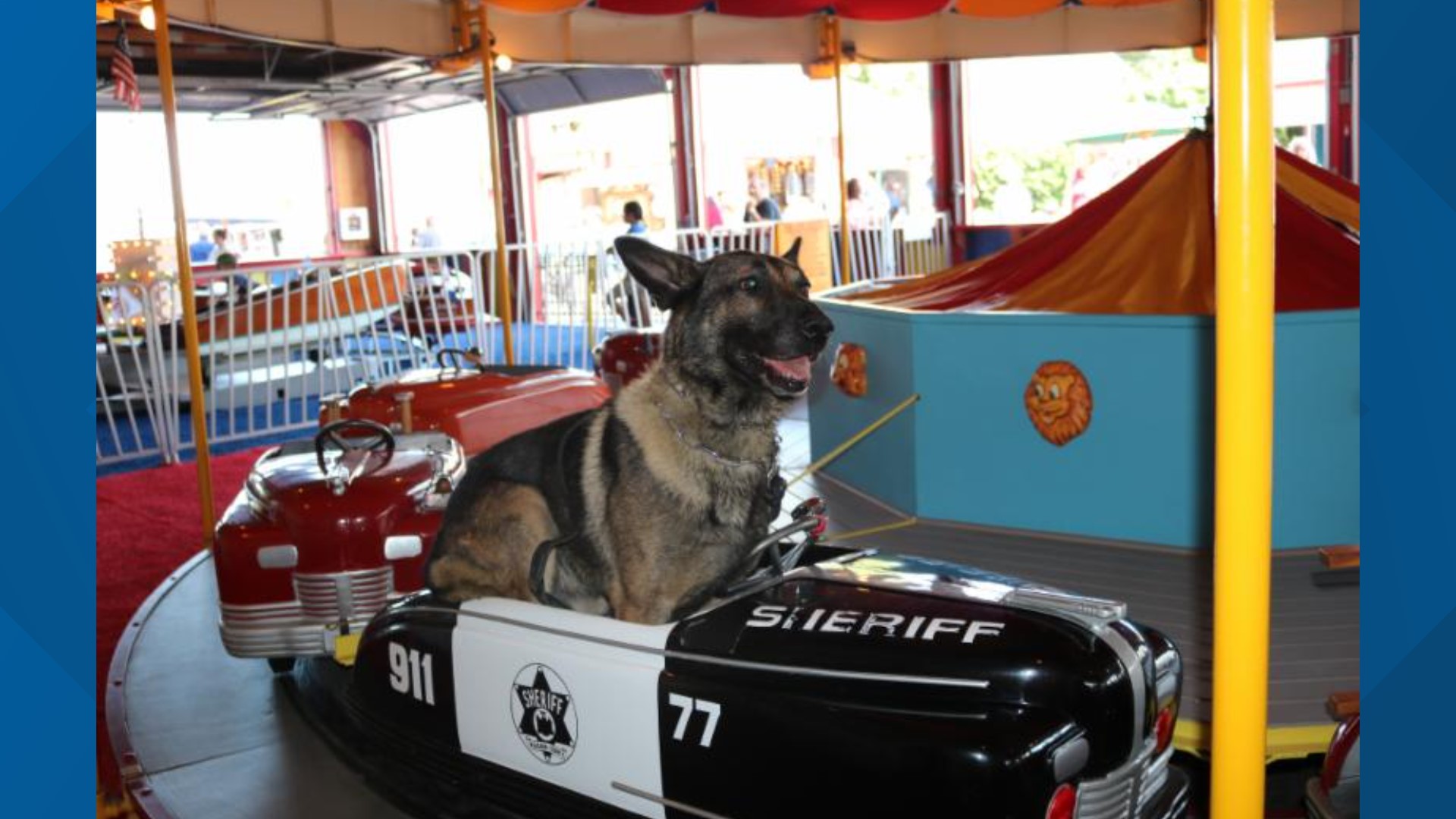 Niagara County Sheriffs Office Shares The Sad News Of K9s Passing