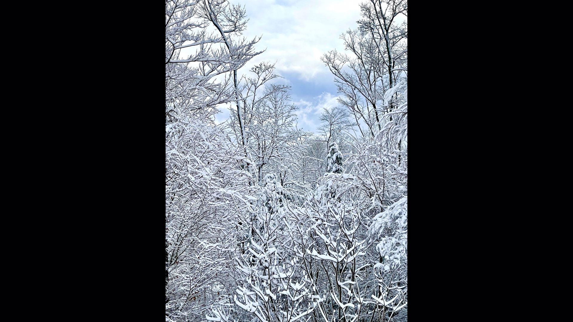 Buffalo snow photos | wgrz.com