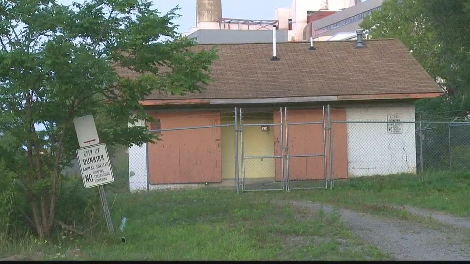 Dunkirk animal shelter passes surprise inspection | wgrz.com