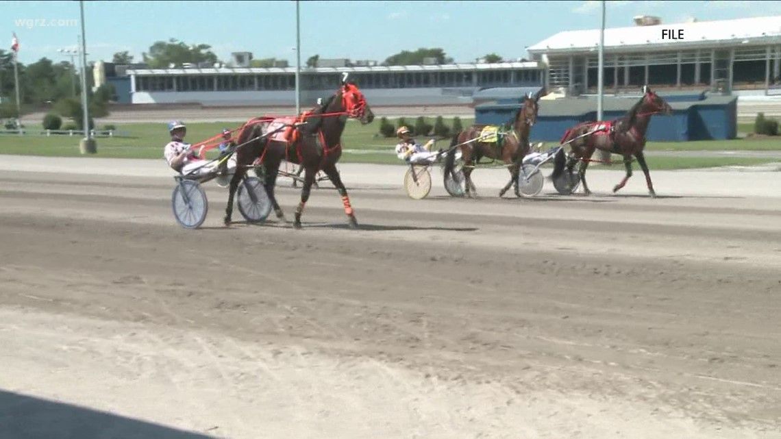 Horse euthanized after breaking a leg at Buffalo Raceway | wgrz.com