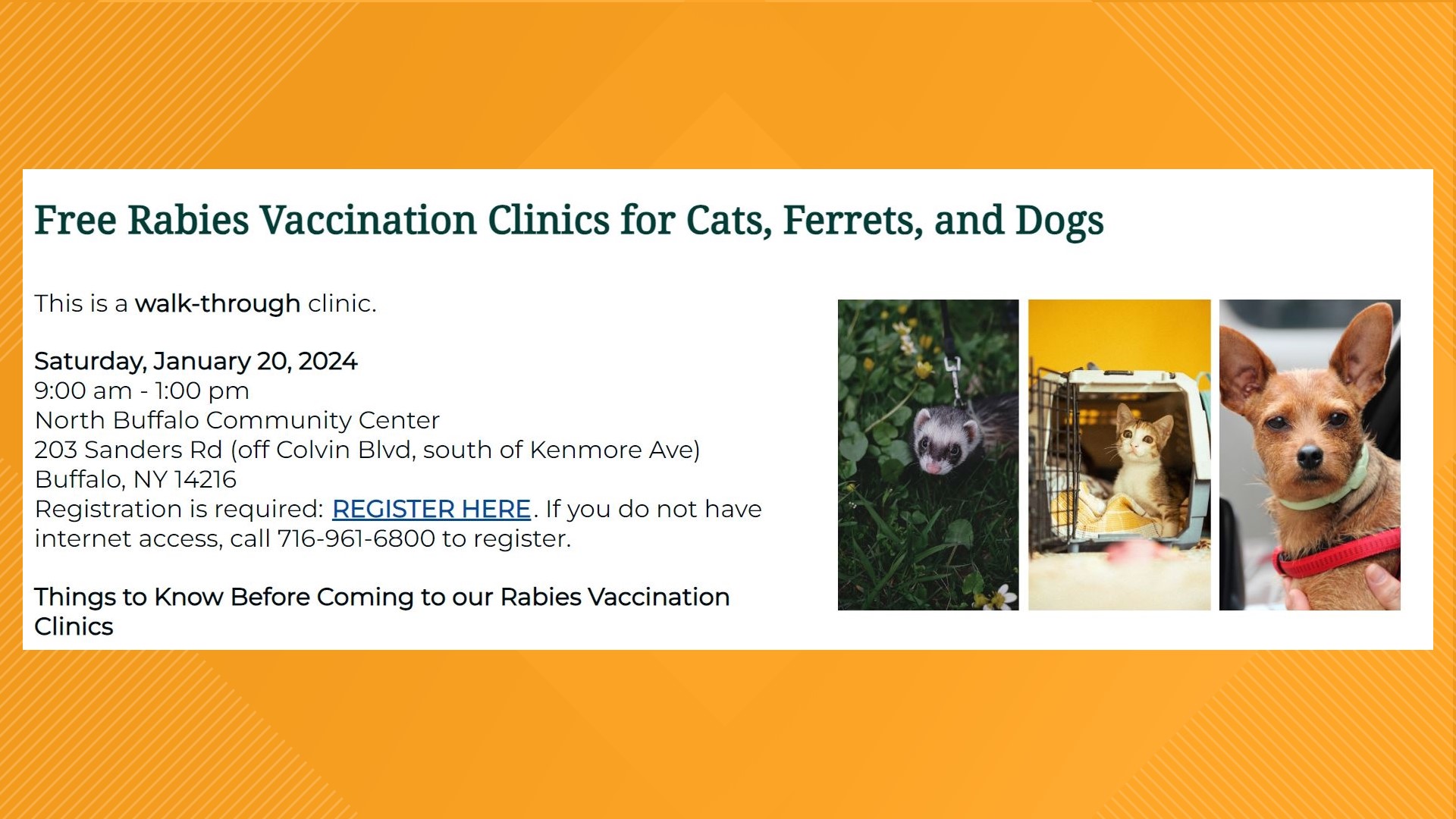Upcoming free rabies clinic in Erie County | wgrz.com