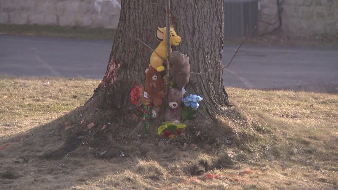 Noah Whitmore remembered: Benefit to honor 7-year-old's life this ...