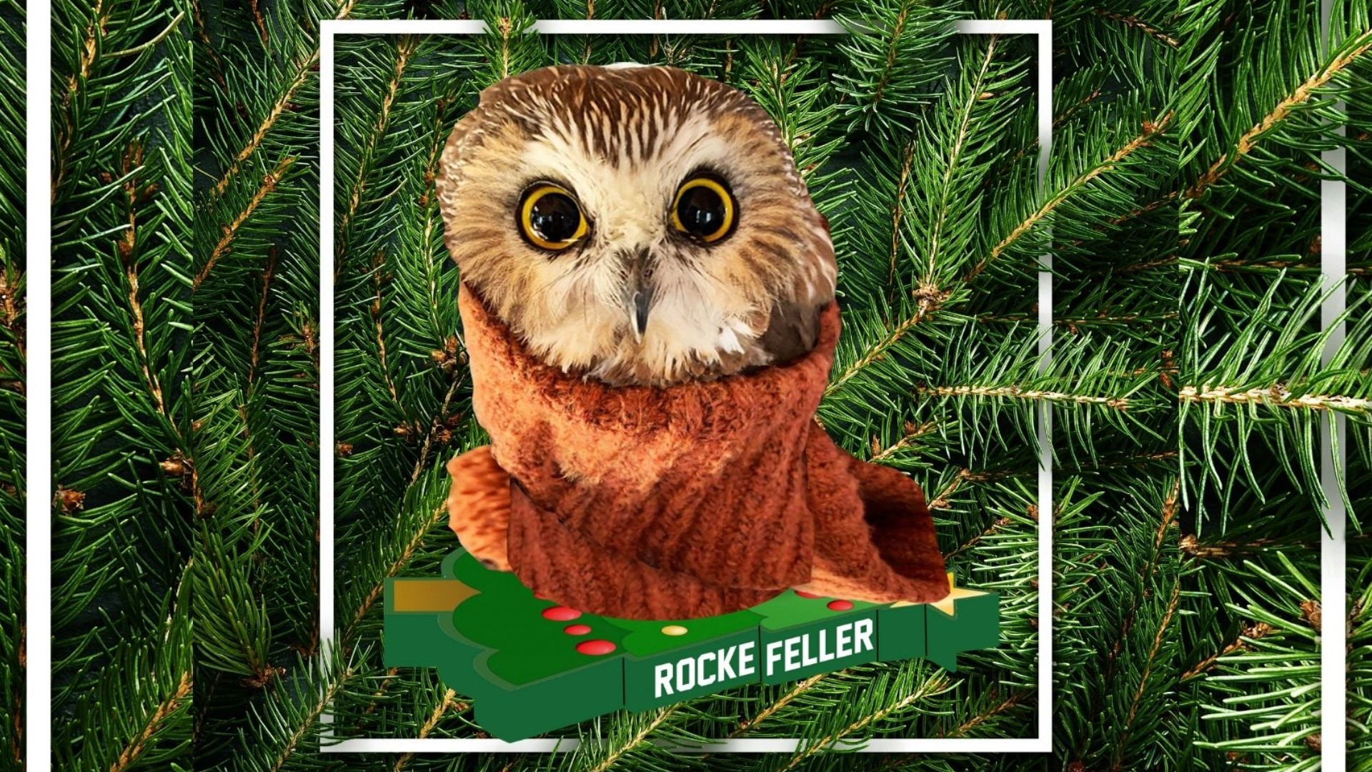 Rockefeller Tree Owl gets bobblehead; portion of proceeds to go to ...