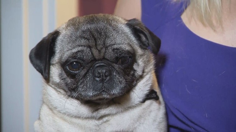 Daybreak Brings Patrick Hammer to Tears | wgrz.com