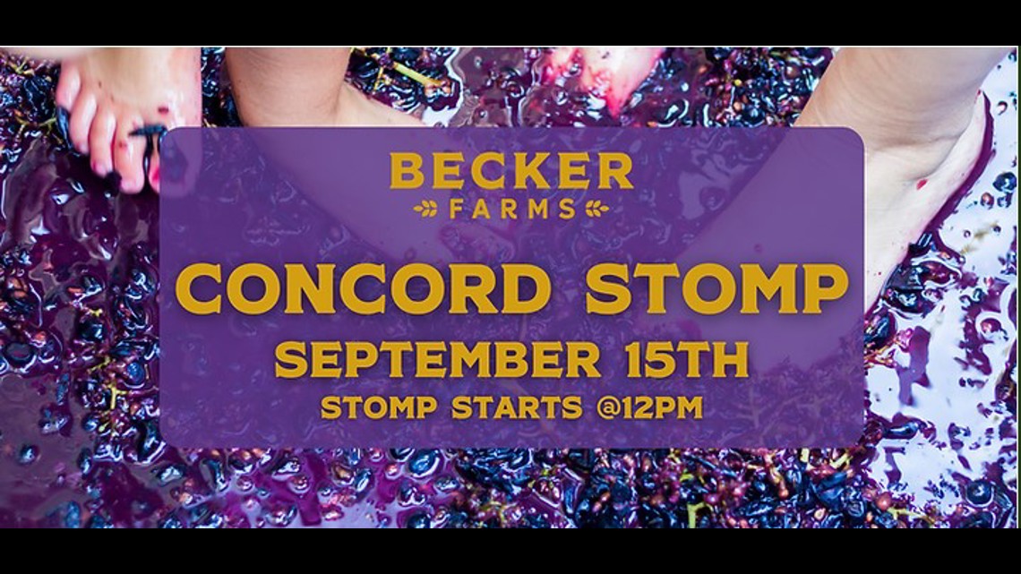 Annual Concord Grape Stomp at Becker Farms & Vizcarra Vineyards! | wgrz.com