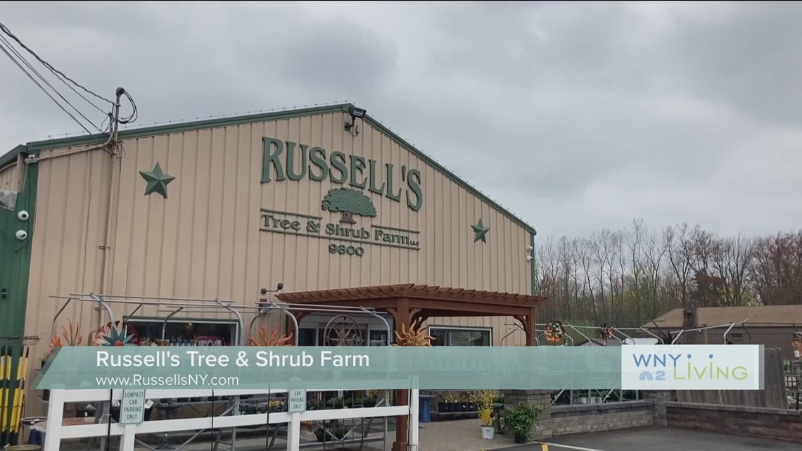 April 29th-WNY Living -Russell's Tree & Shrub Farm | wgrz.com