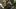 Licensed dispensaries in New York can now host temporary cannabis pop ...