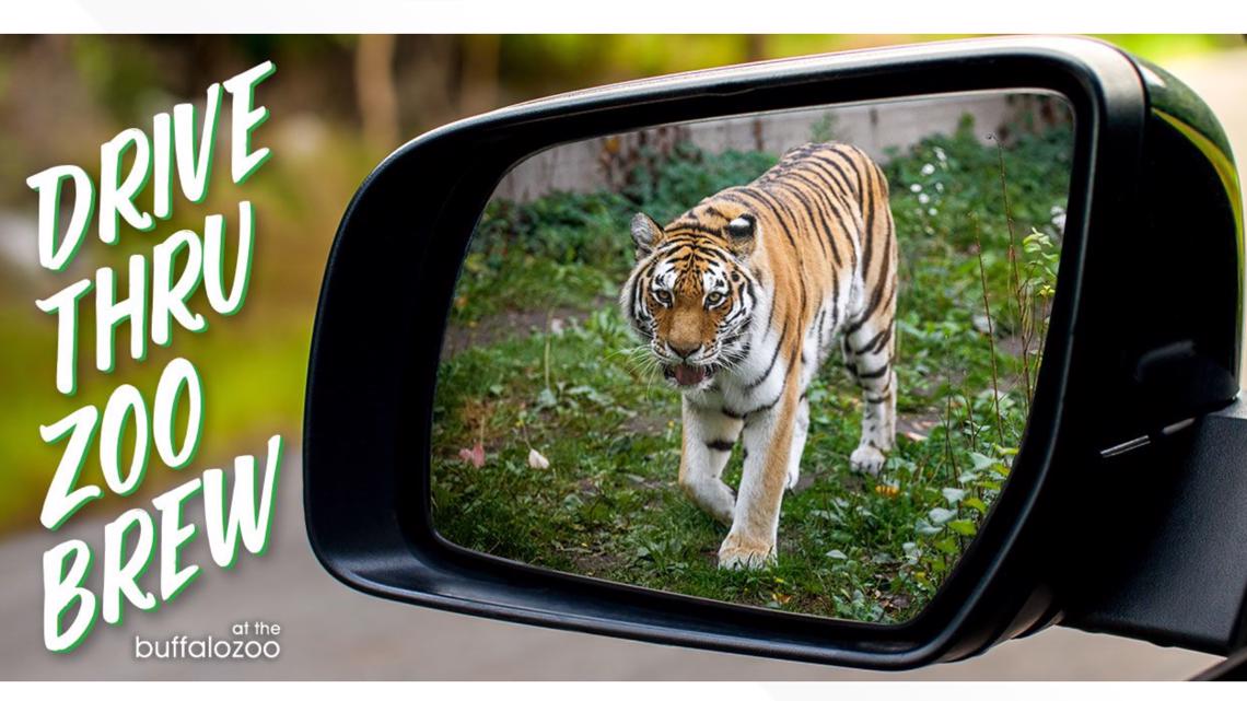 The Buffalo Zoo hosts first-ever Drive Thru Zoo Brew | wgrz.com