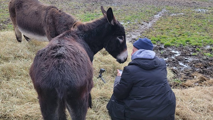 2 The Outdoors: Don't underestimate the intelligence of Donkeys | wgrz.com