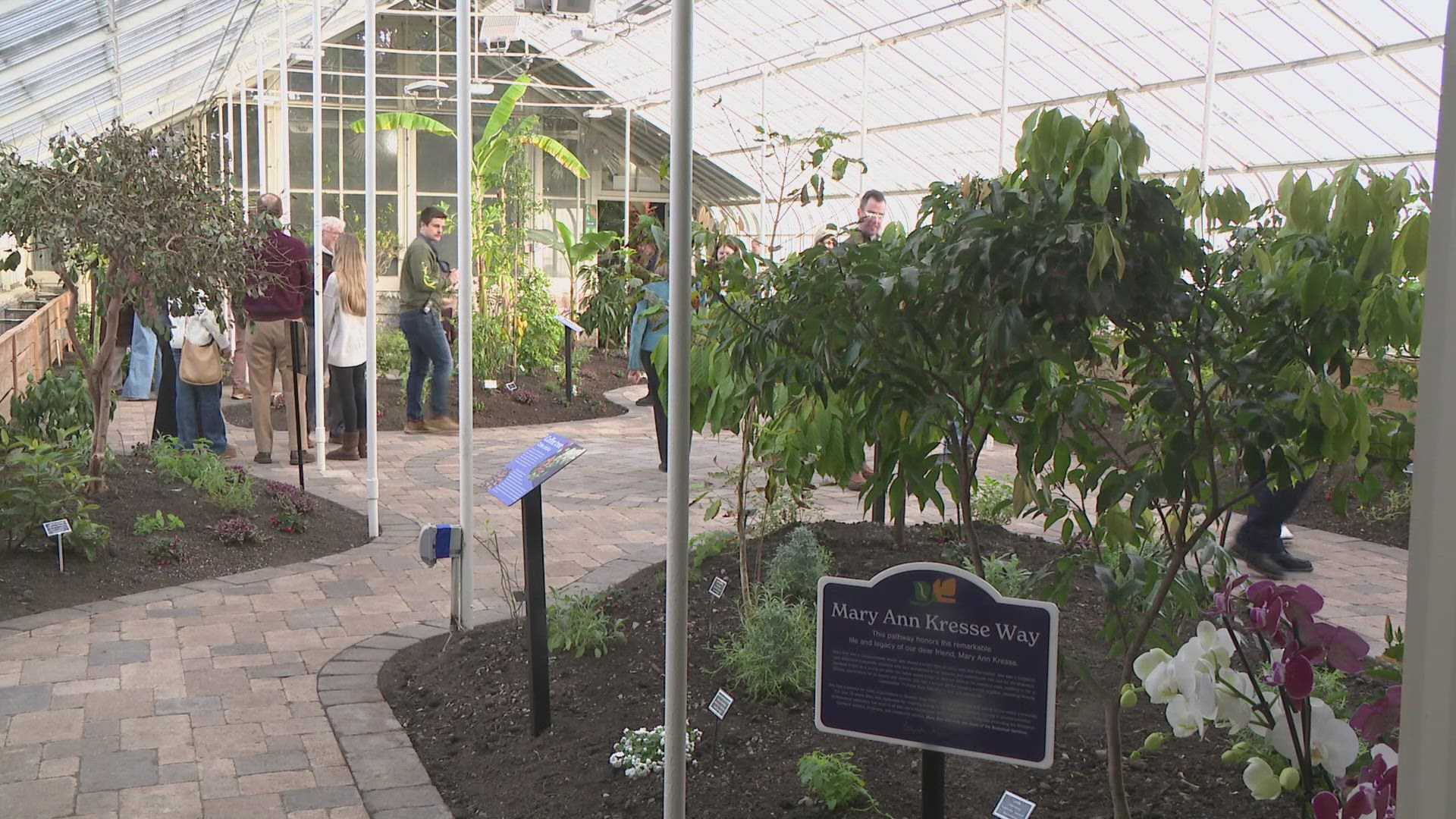 Most Buffalo: 'New Tropical Orchard exhibit at the Botanical Gardens ...