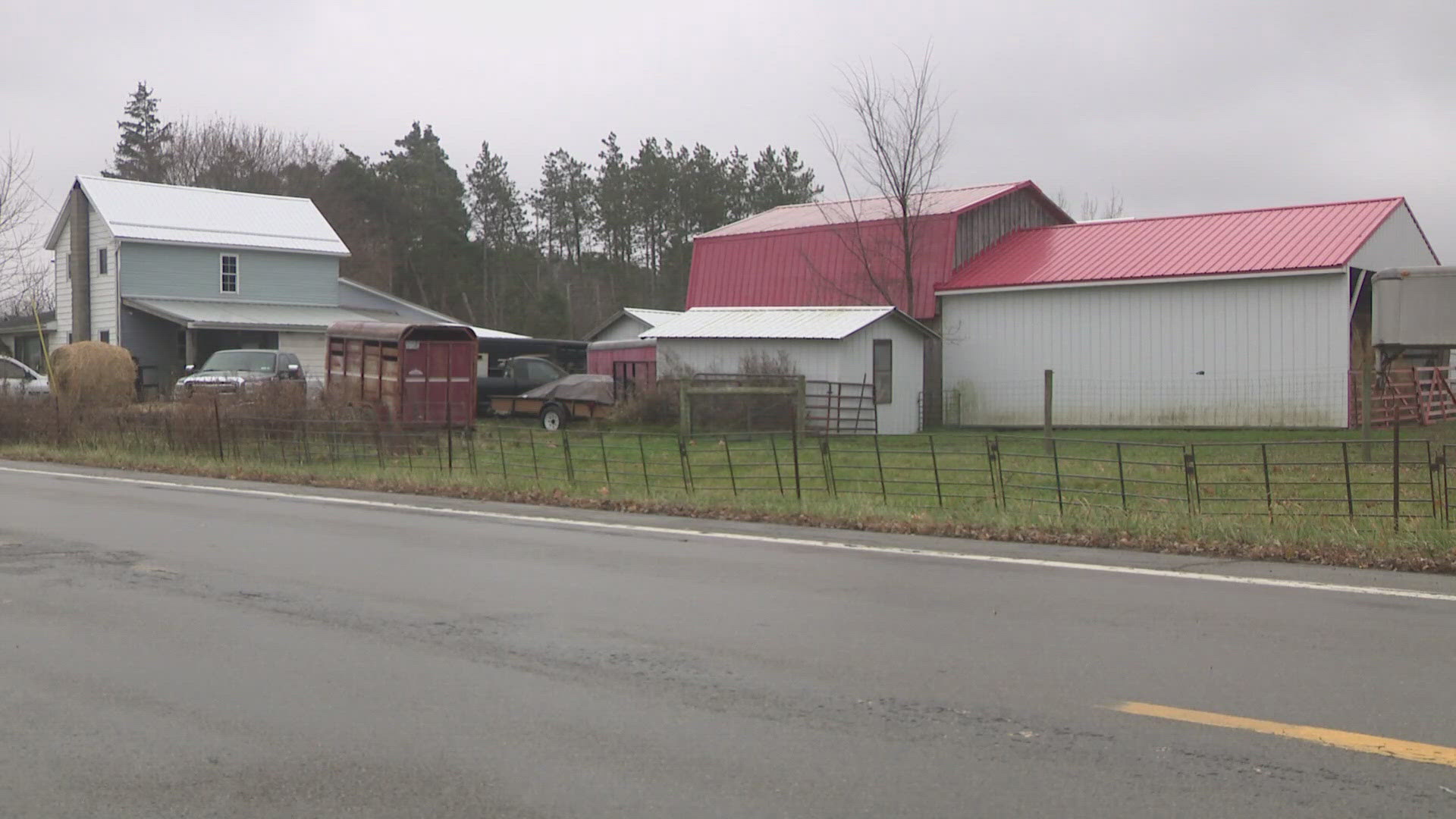 Couple pleads guilty after over 200 emaciated animals found on Brant ...