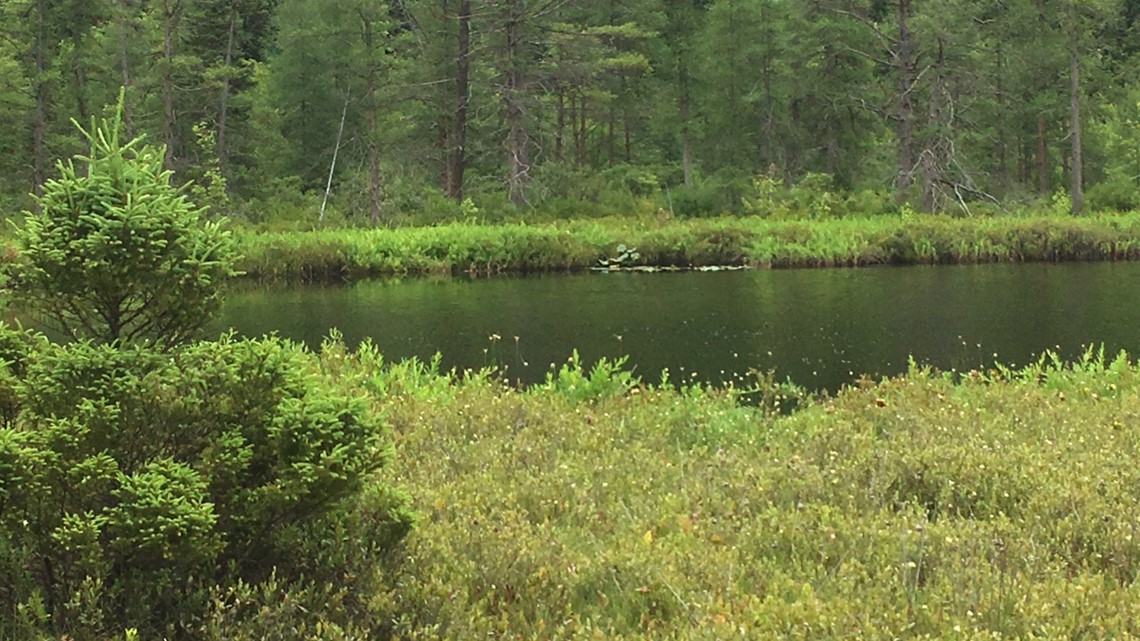 2 the Outdoors: The secret life of bogs | wgrz.com