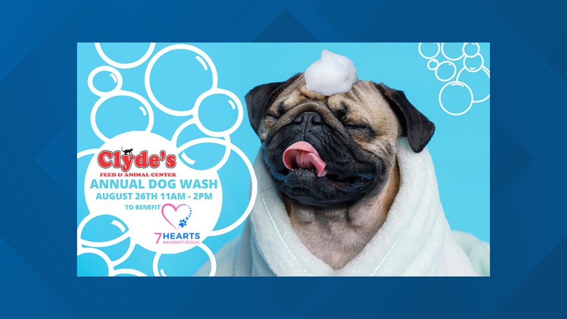 Dog Wash fundraiser for local rescue | wgrz.com