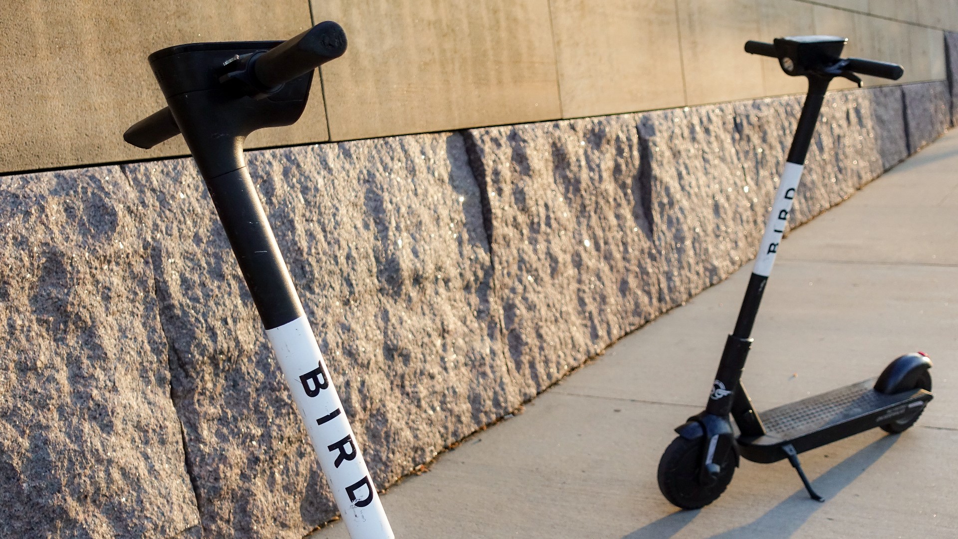 Bird scooters take flight out of Dunkirk | wgrz.com