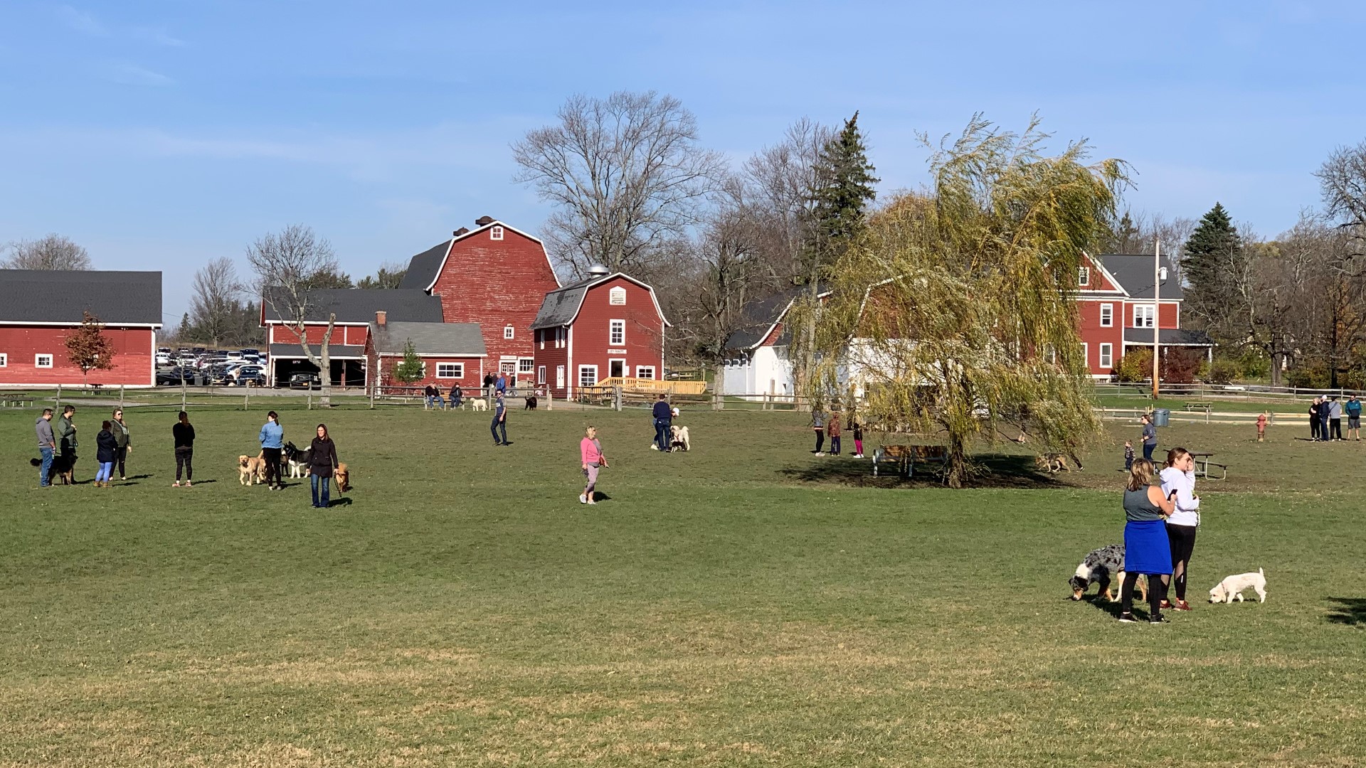 Knox Farm hosting programs throughout fall season for guests | wgrz.com