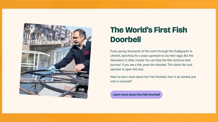 Help fish swim upstream using Netherlands' Fish Doorbell | wgrz.com