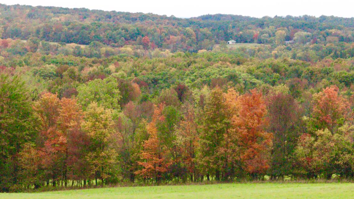 The science behind an annual fall event | wgrz.com