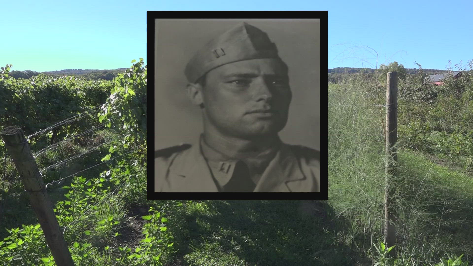 Johnson Estate Winery thrives on WWII legacy | wgrz.com