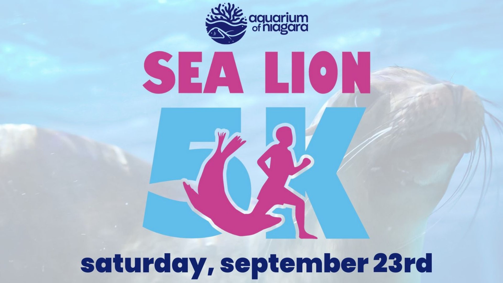 Aquarium Sea Lion 5k coming up | wgrz.com