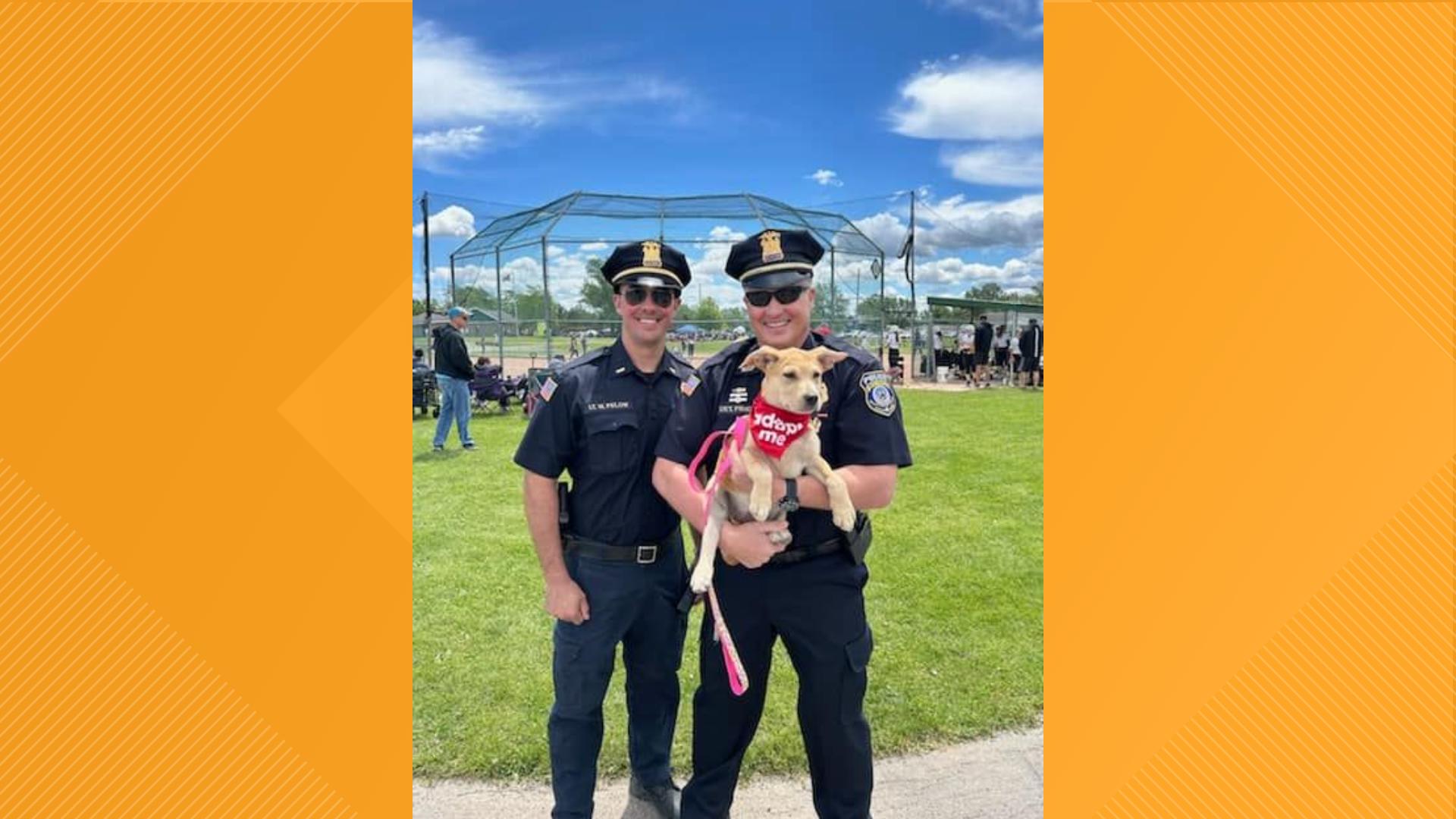 West Seneca Police 'K-9 for a day' program | wgrz.com