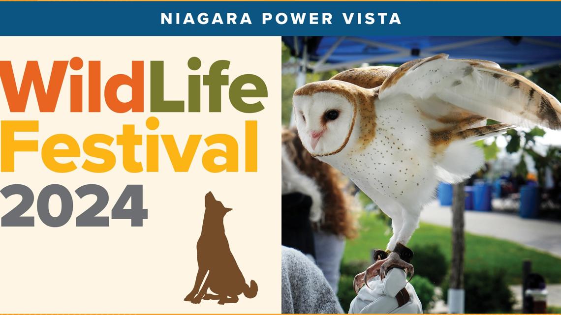 Wildlife Festival at the Power Vista in Lewiston | wgrz.com
