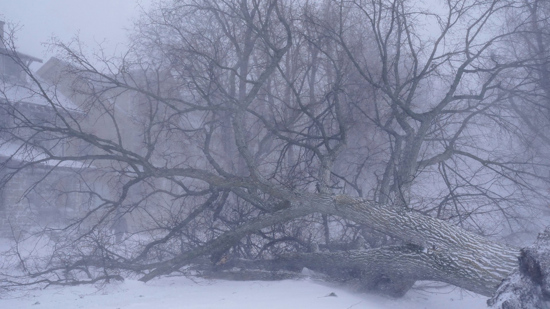 Blizzard 2022: 18 dead | wgrz.com