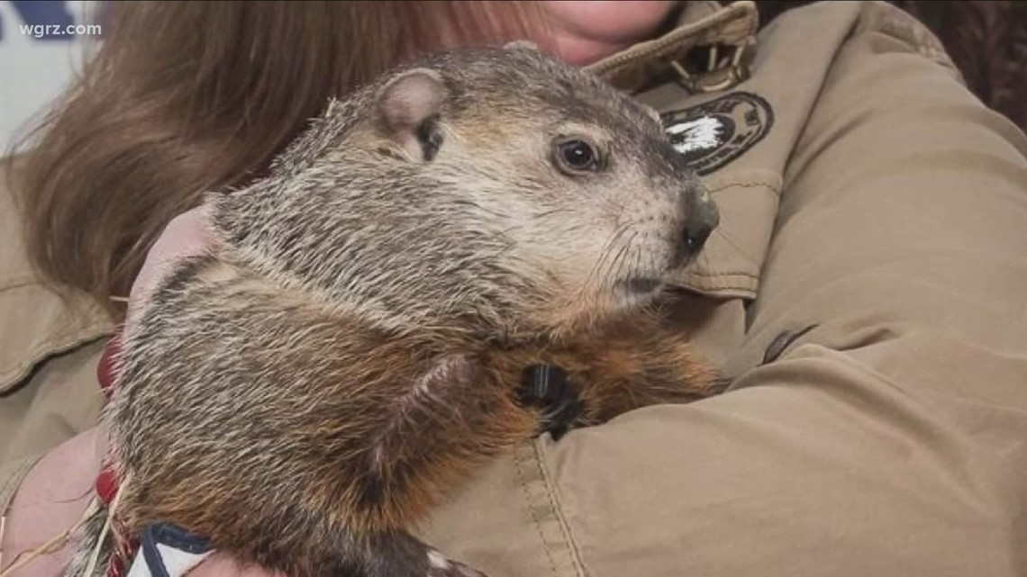 Buffalo Groundhog Day returns to Flying Bison Brewery | wgrz.com